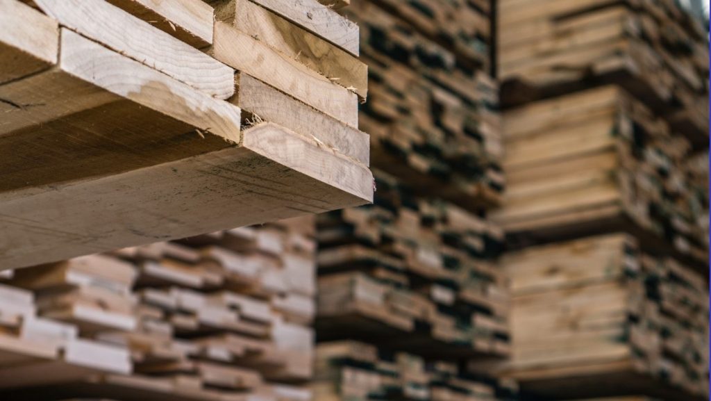 Common Lumber Defects and How to Identify Them - M & M Enterprises Daytona